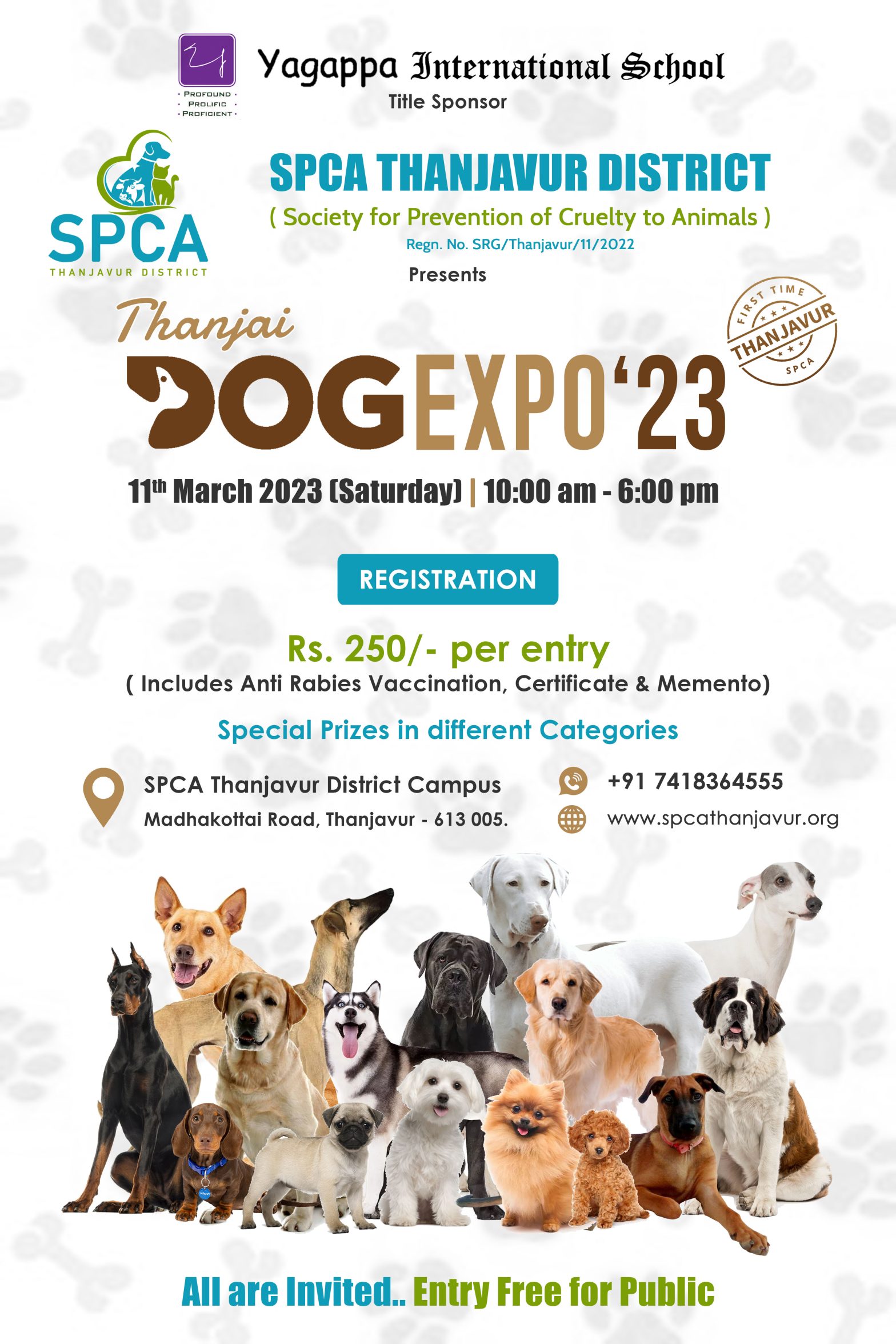 SPCA Thanjavur District | Society for the Prevention of Cruelty to Animals